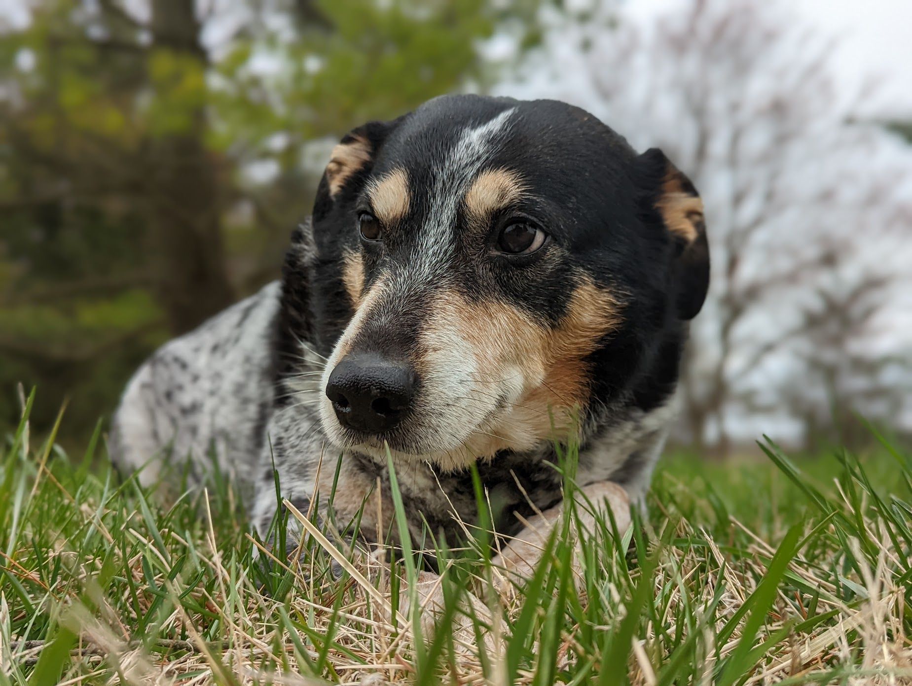 The Threat of a Midwestern Spring