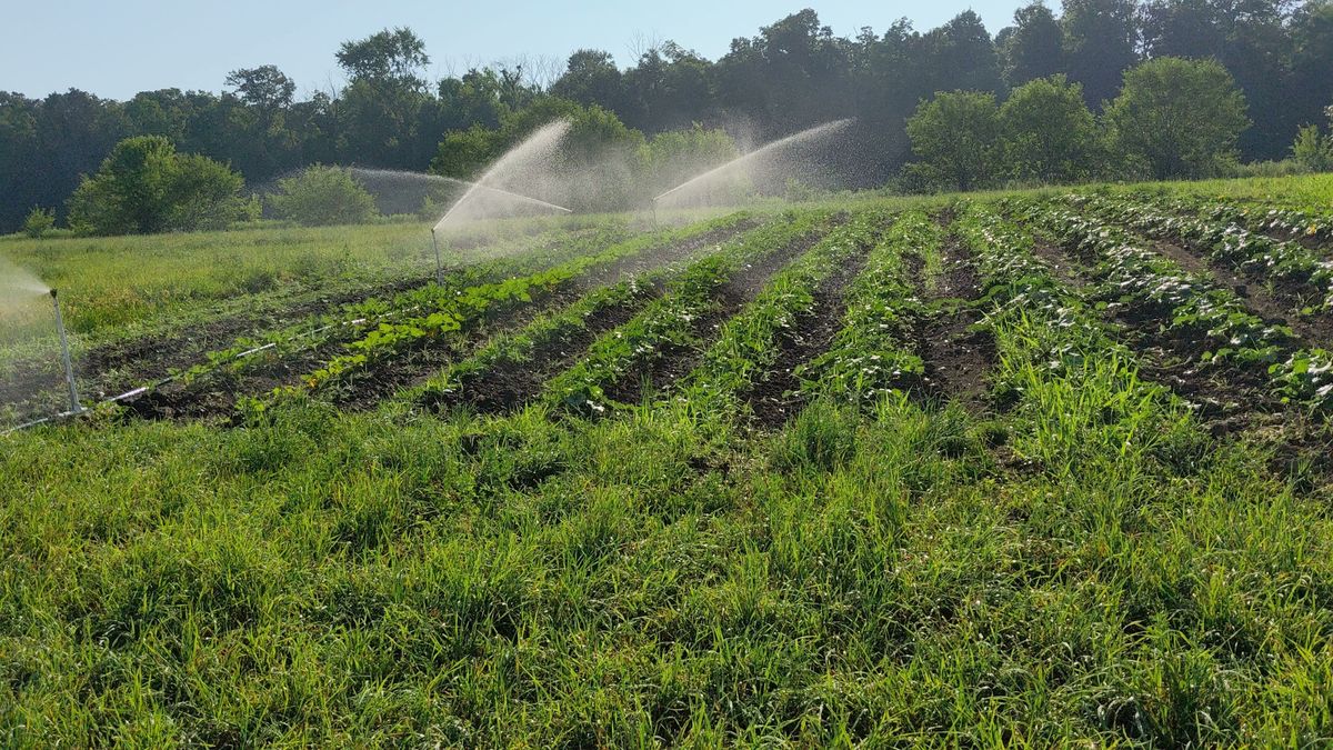 Blame it on the Heat Exhaustion